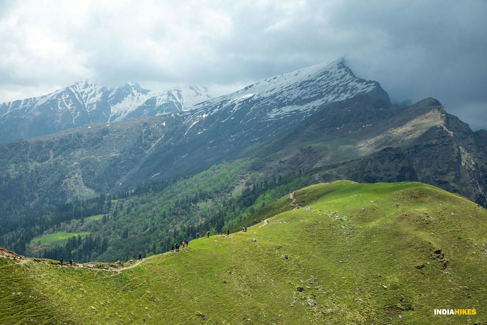 Phulara Ridge Trek 2023 - Trekking in Uttarakhand - Indiahikes