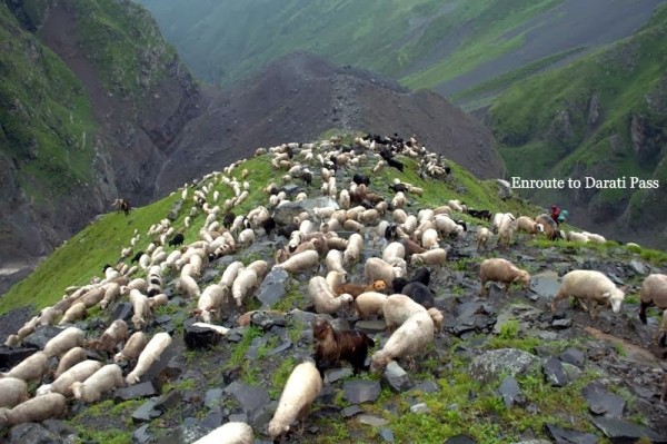 Darati Pass Trek