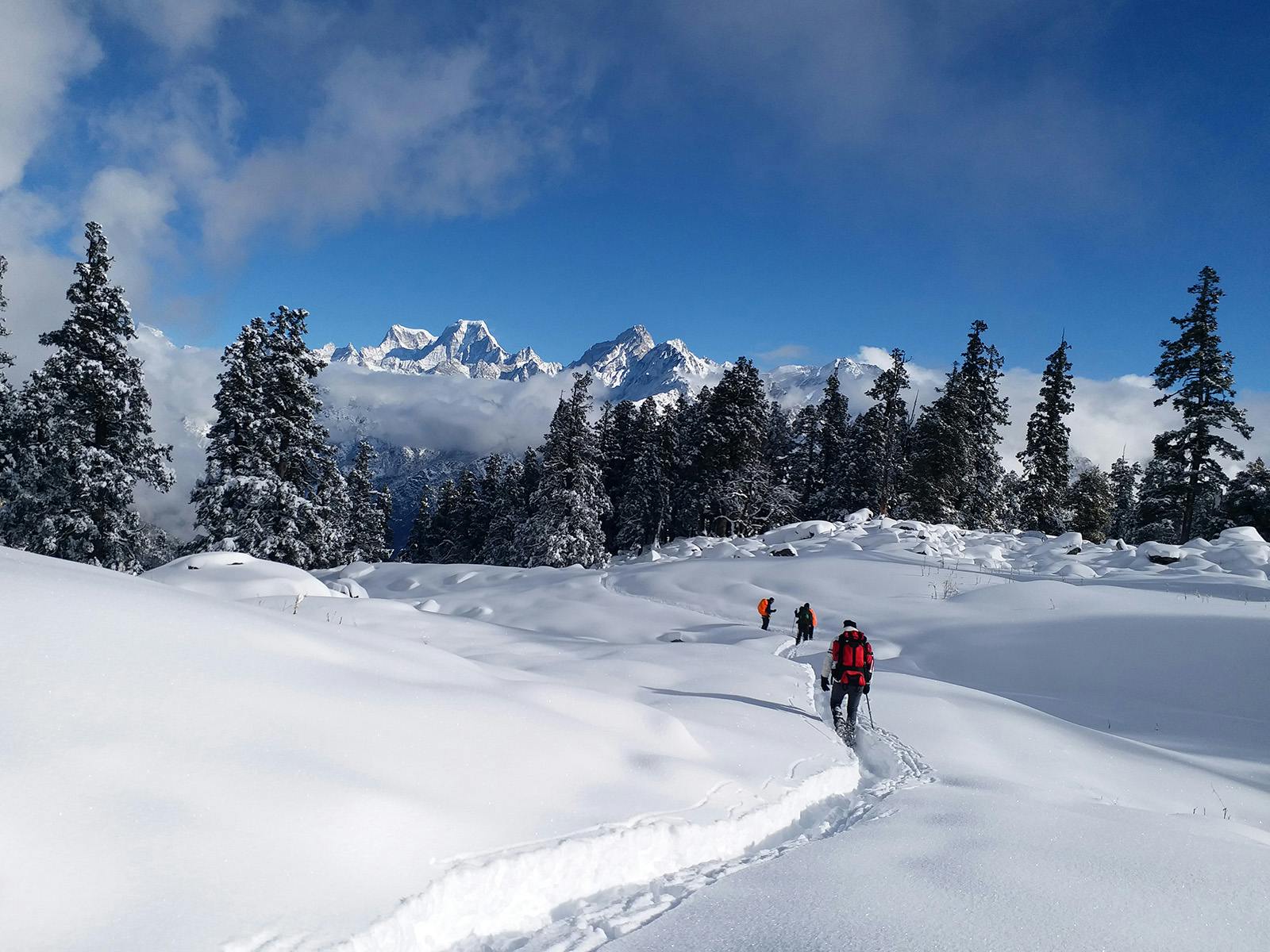 Kuari Pass Trek 2022 - Treks In Uttarakhand - Indiahikes