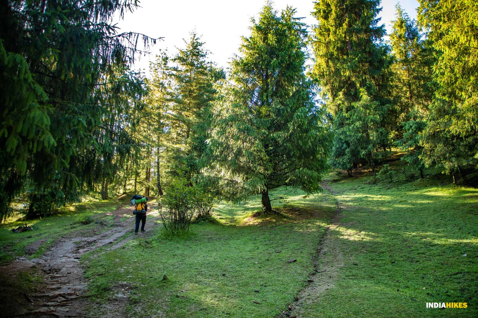 Chandrakhani Pass Trek 2023 - Treks In Himachal Pradesh - Indiahikes