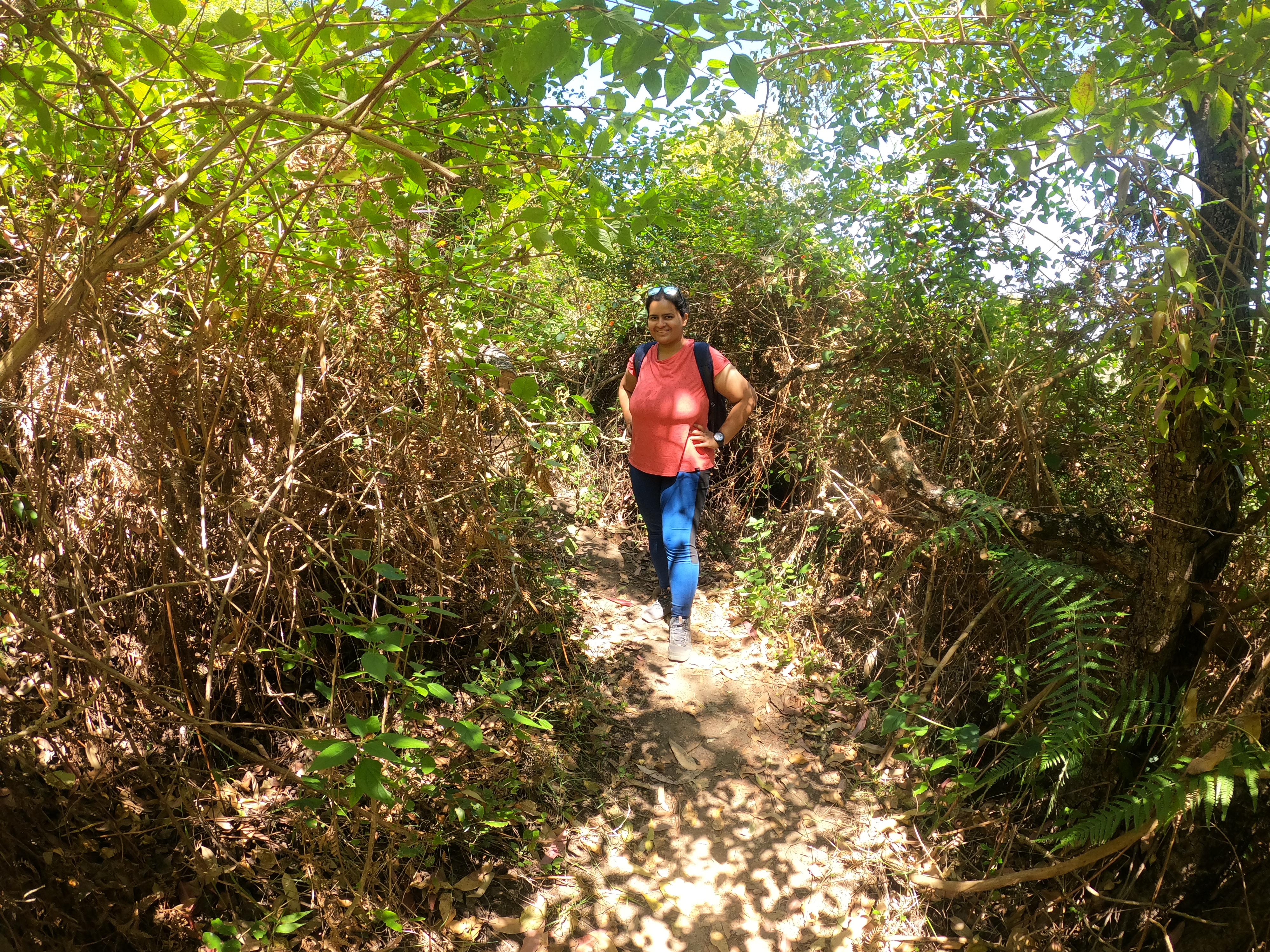 Thoothor Waterfall- Trek to a Hidden Gem near Kodaikanal