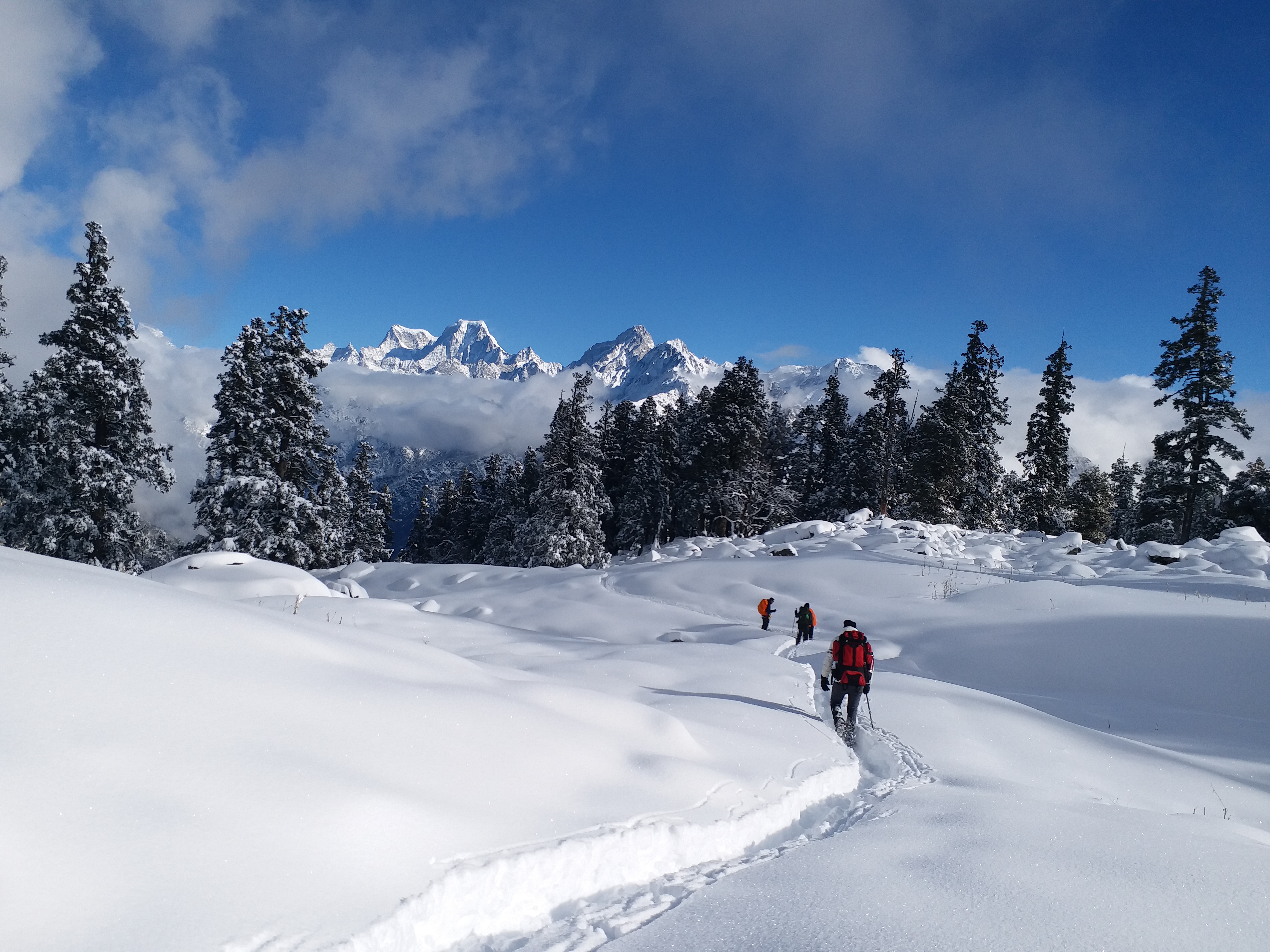 20 Incredible Photos of Kuari Pass in Winter