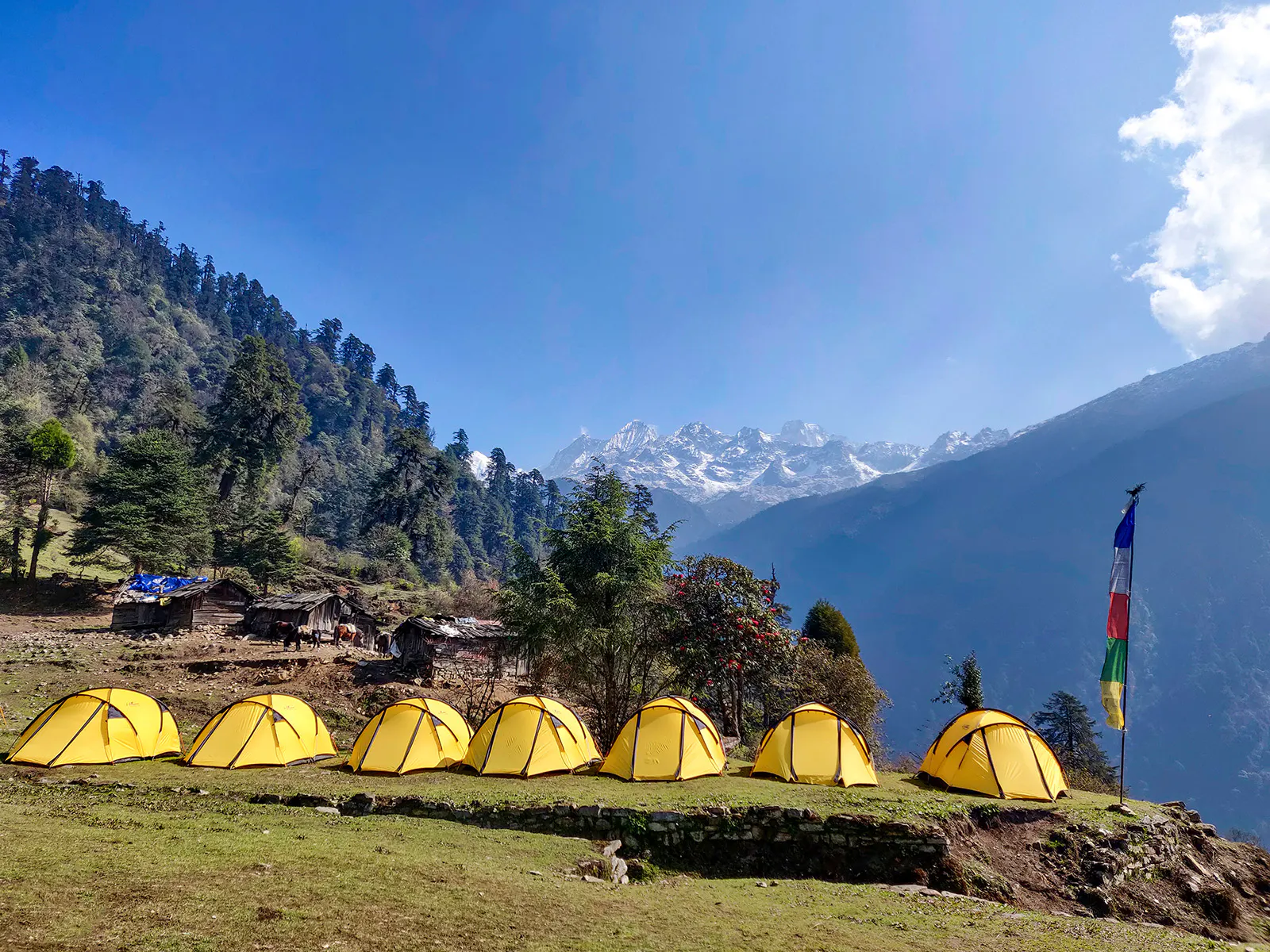 Goechala Trek 2023 - Treks In Sikkim - Indiahikes