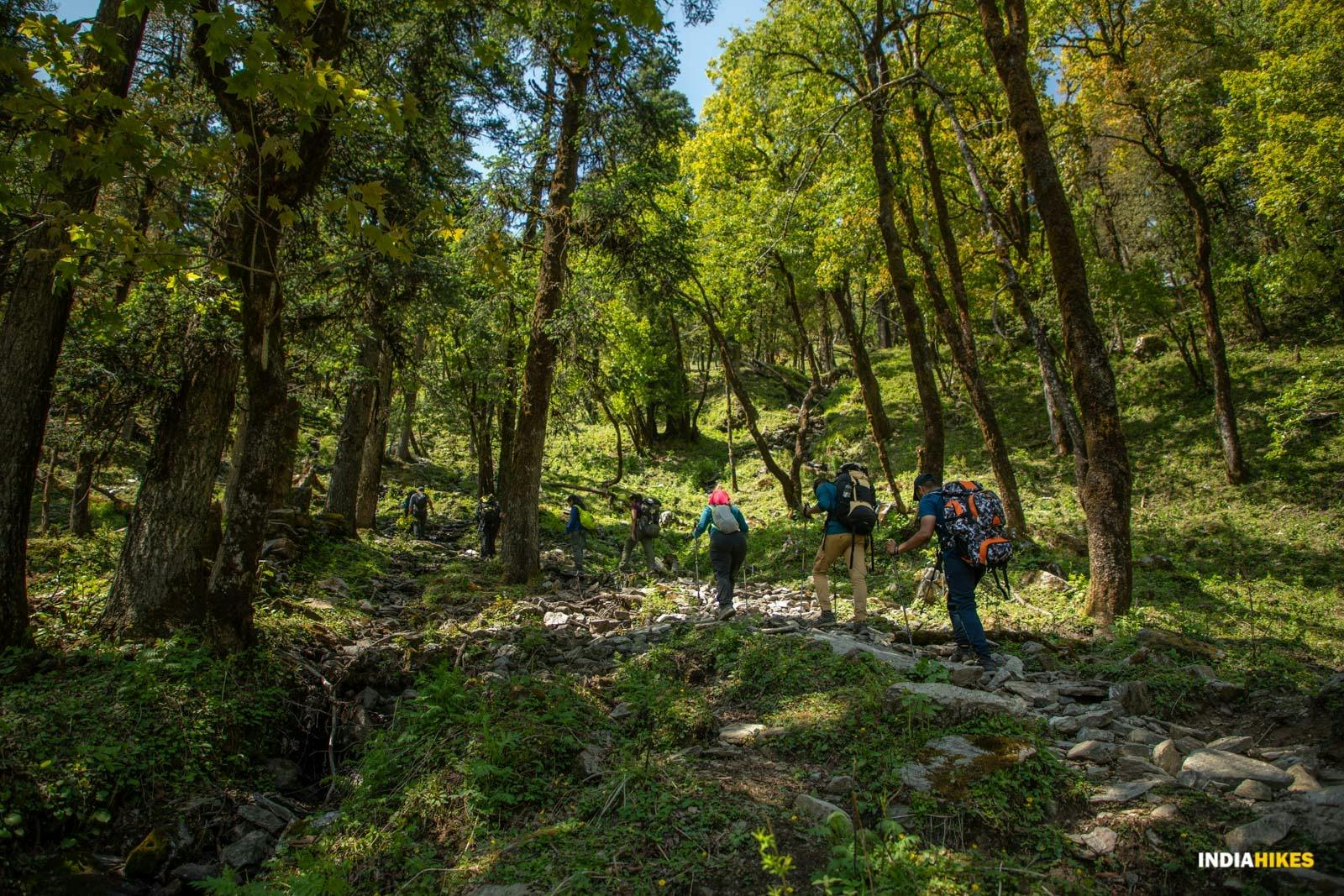 Phulara Ridge Trek 2023 - Trekking in Uttarakhand - Indiahikes