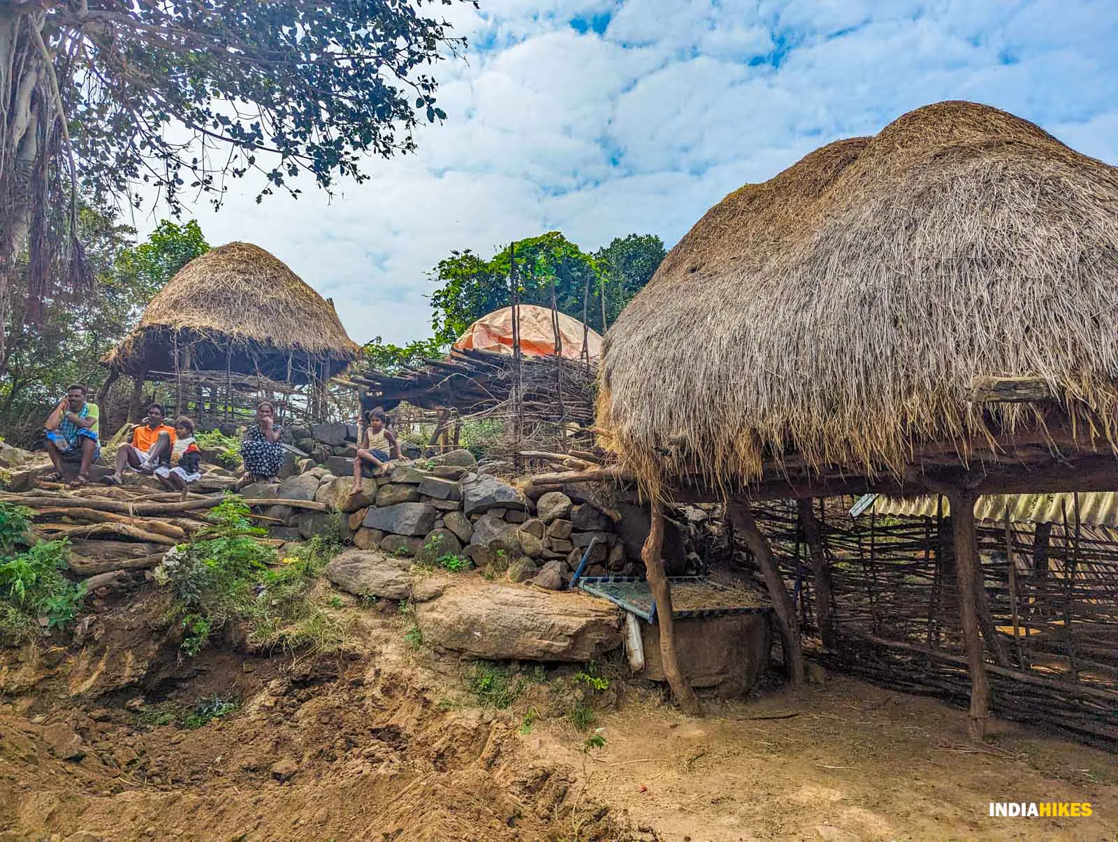 Vellore Amirthi Forest Trek 2024 - Treks In Tamil Nadu - Indiahikes