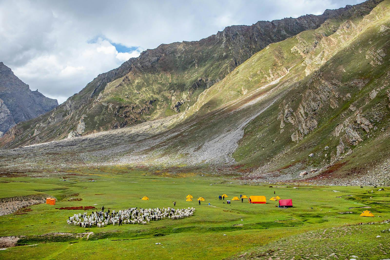 Miyar Valley 2023 - The Trek that takes you to the Heart of Lahaul ...