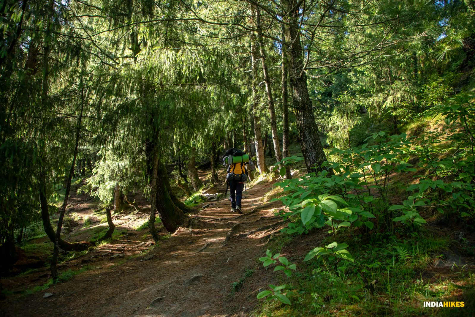 Chandrakhani Pass Trek 2024 - Treks In Himachal Pradesh - Indiahikes