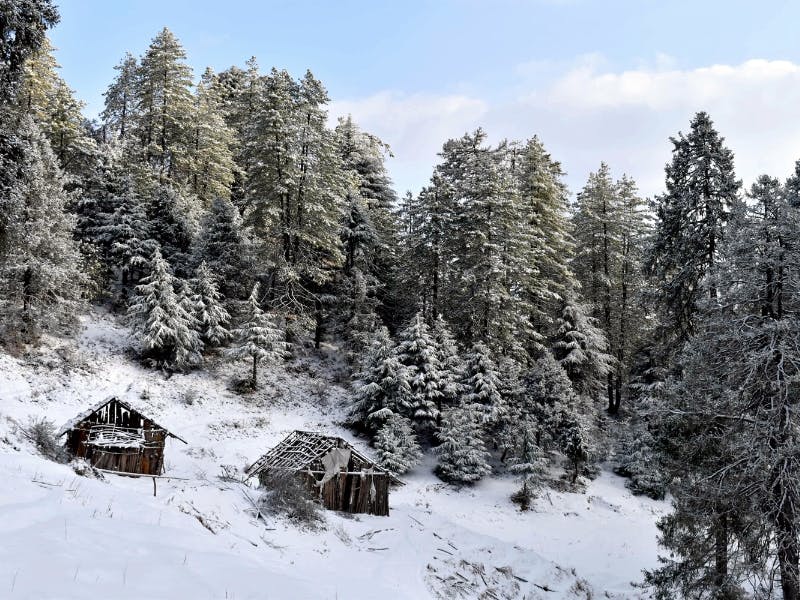 Deoban Weekend Trek 2024 - Indiahikes