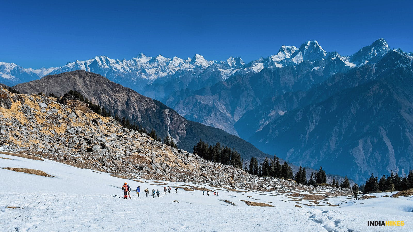 Kuari Pass Trek 2023 - Treks In Uttarakhand - Indiahikes