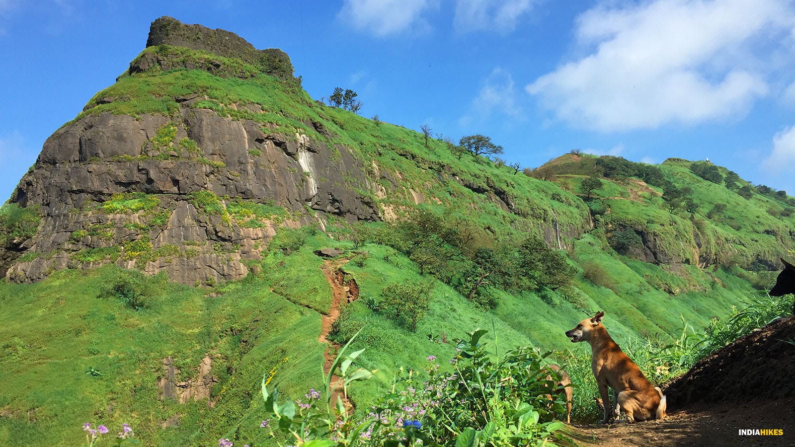 Peb fort - The most versatile fort in Maharastra