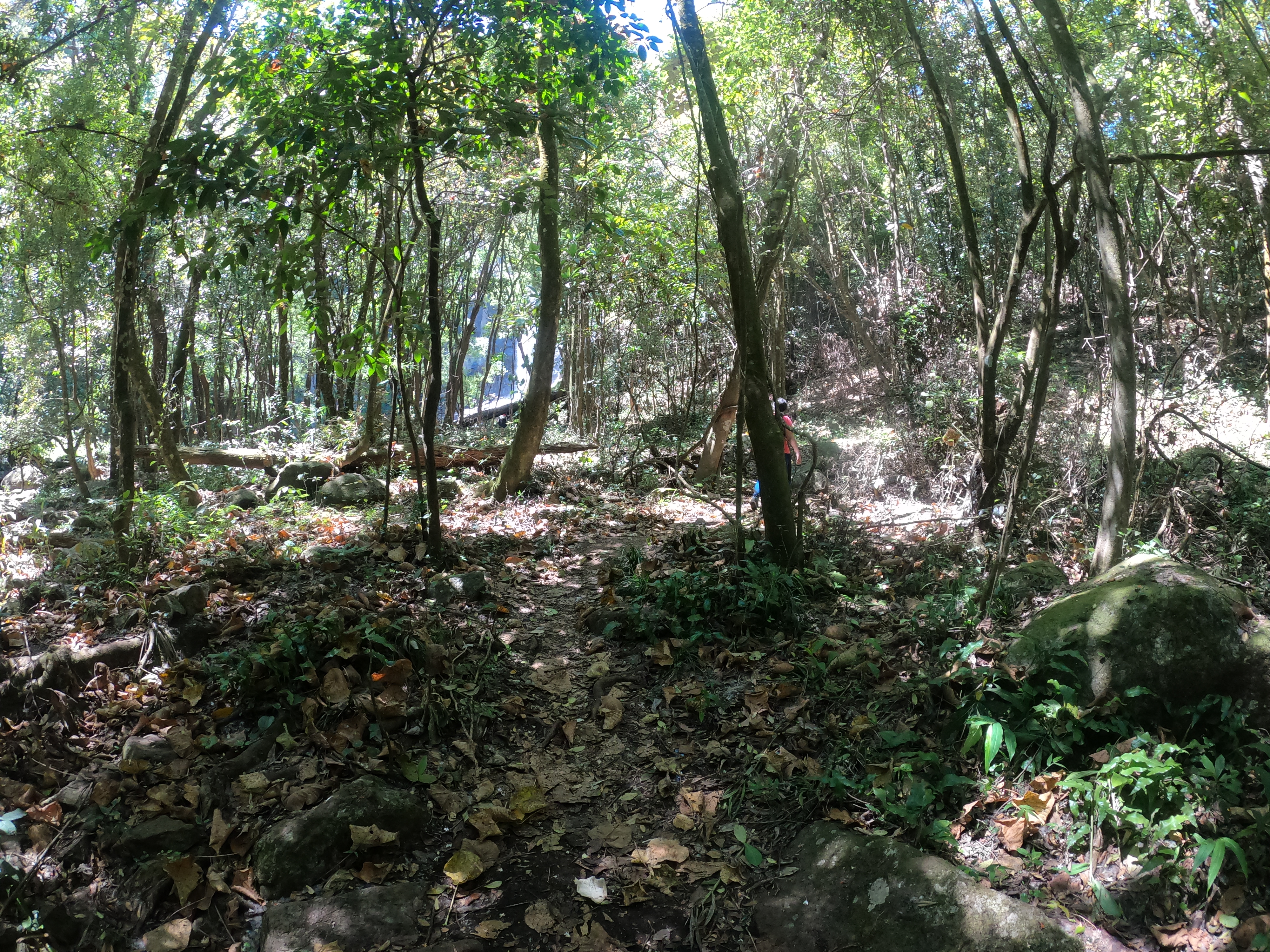 Thoothor Waterfall- Trek to a Hidden Gem near Kodaikanal