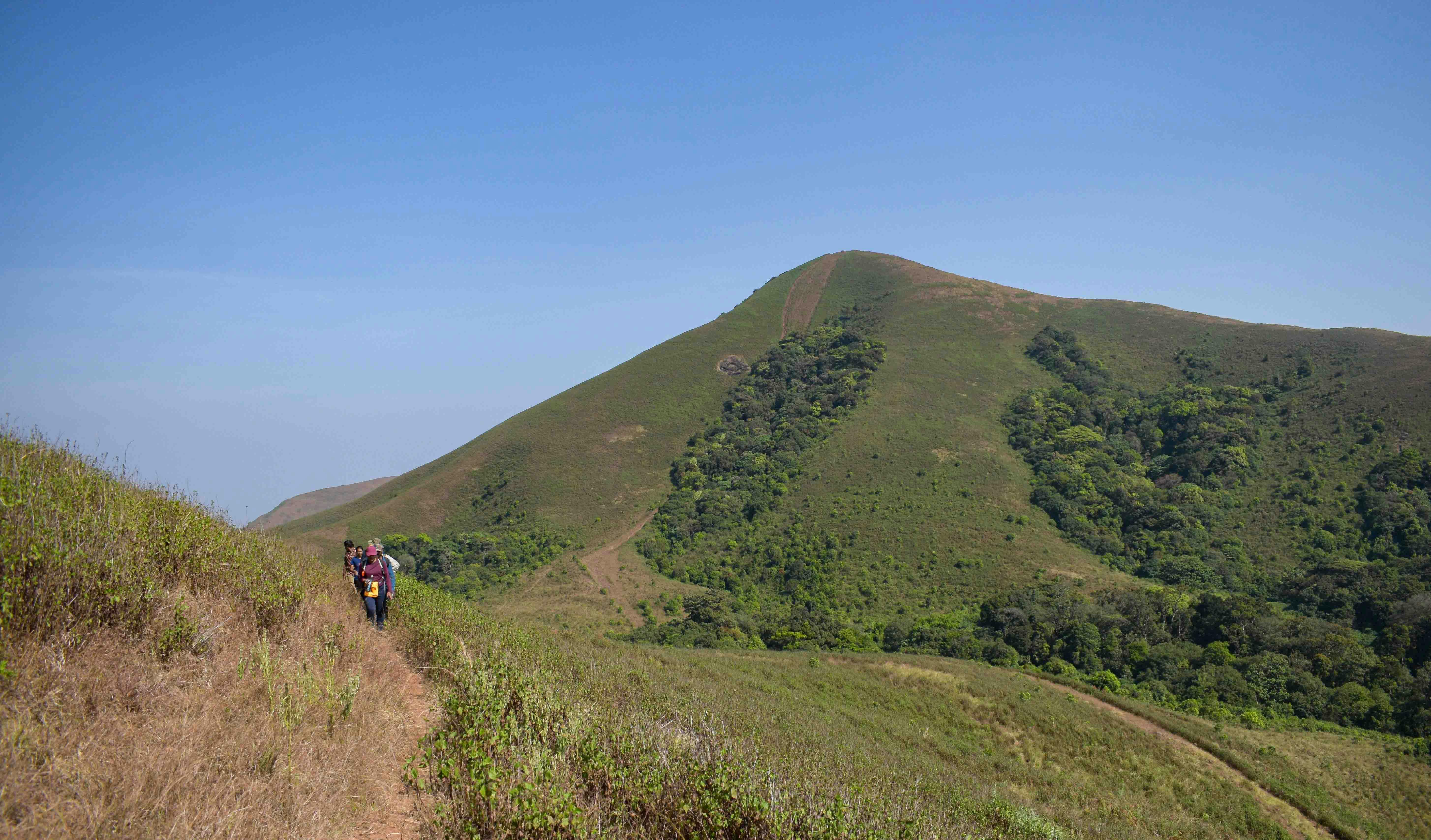 Brahmagiri Peak Trek - Summit Climb in Coorg's Brahmagiri Wildlife ...