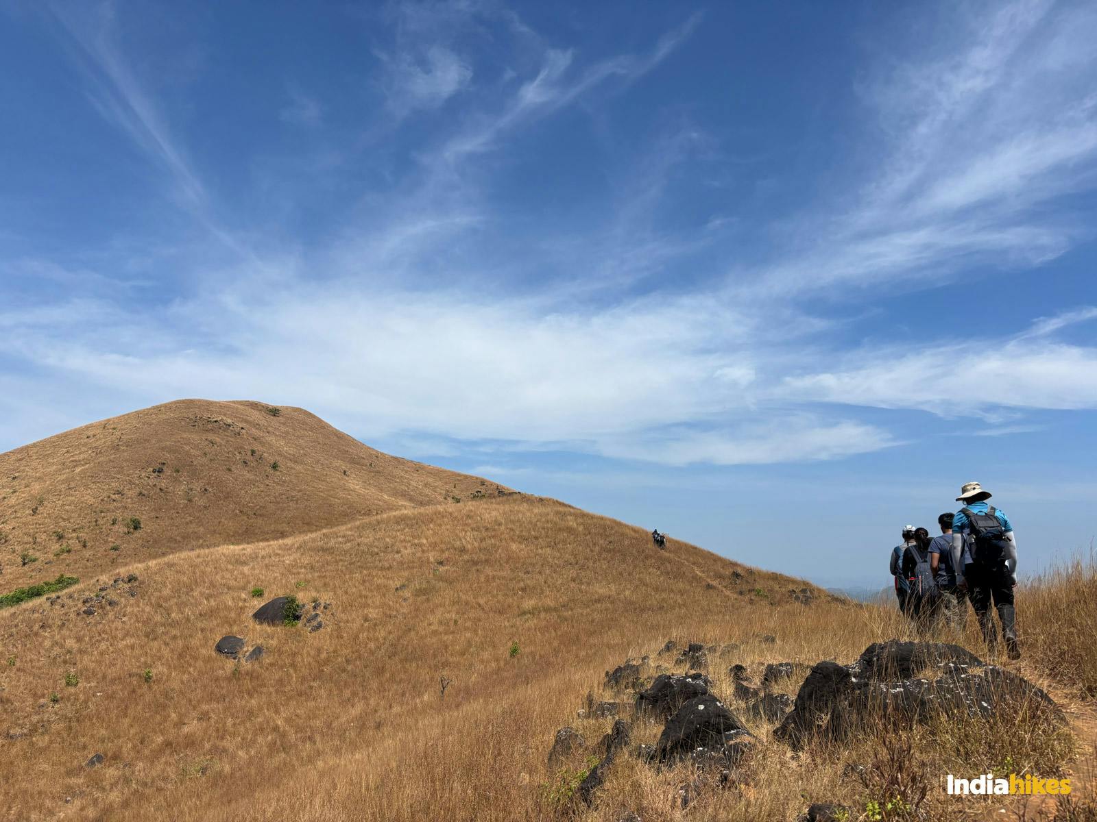 Doddabetta-Abbey Vari Trek - A hidden trek in Coorg under Kumara ...