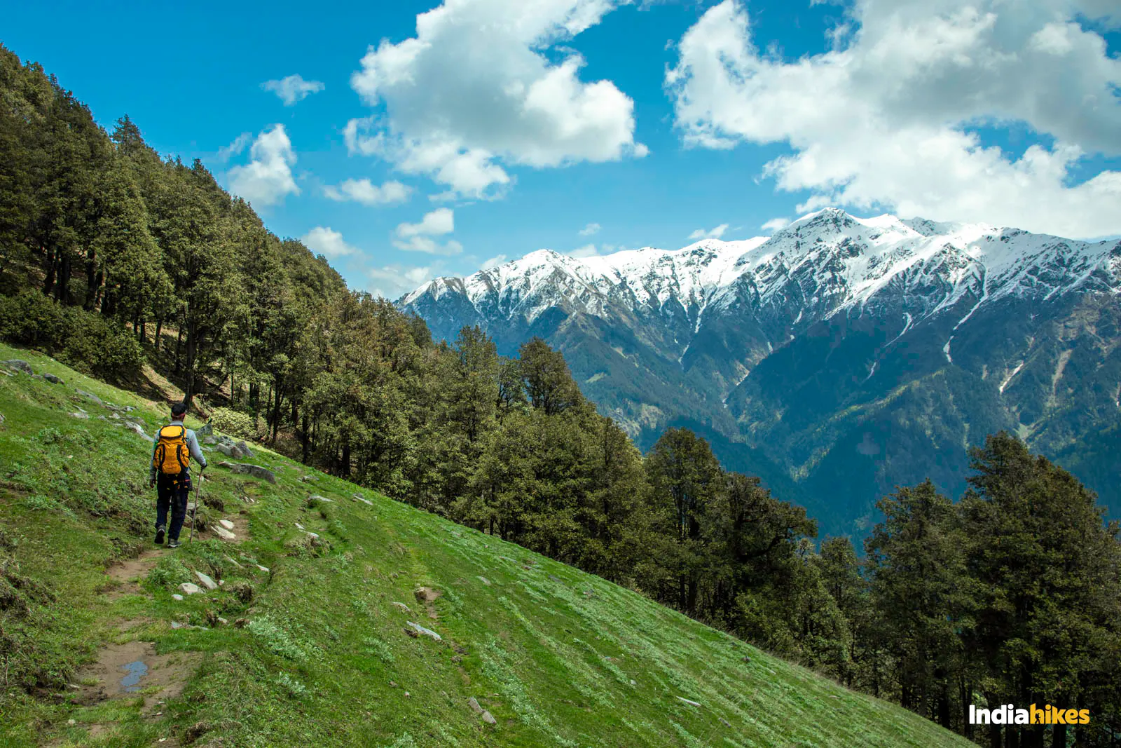 Chandrakhani Pass Trek – Distance, Difficulty & Complete Guide