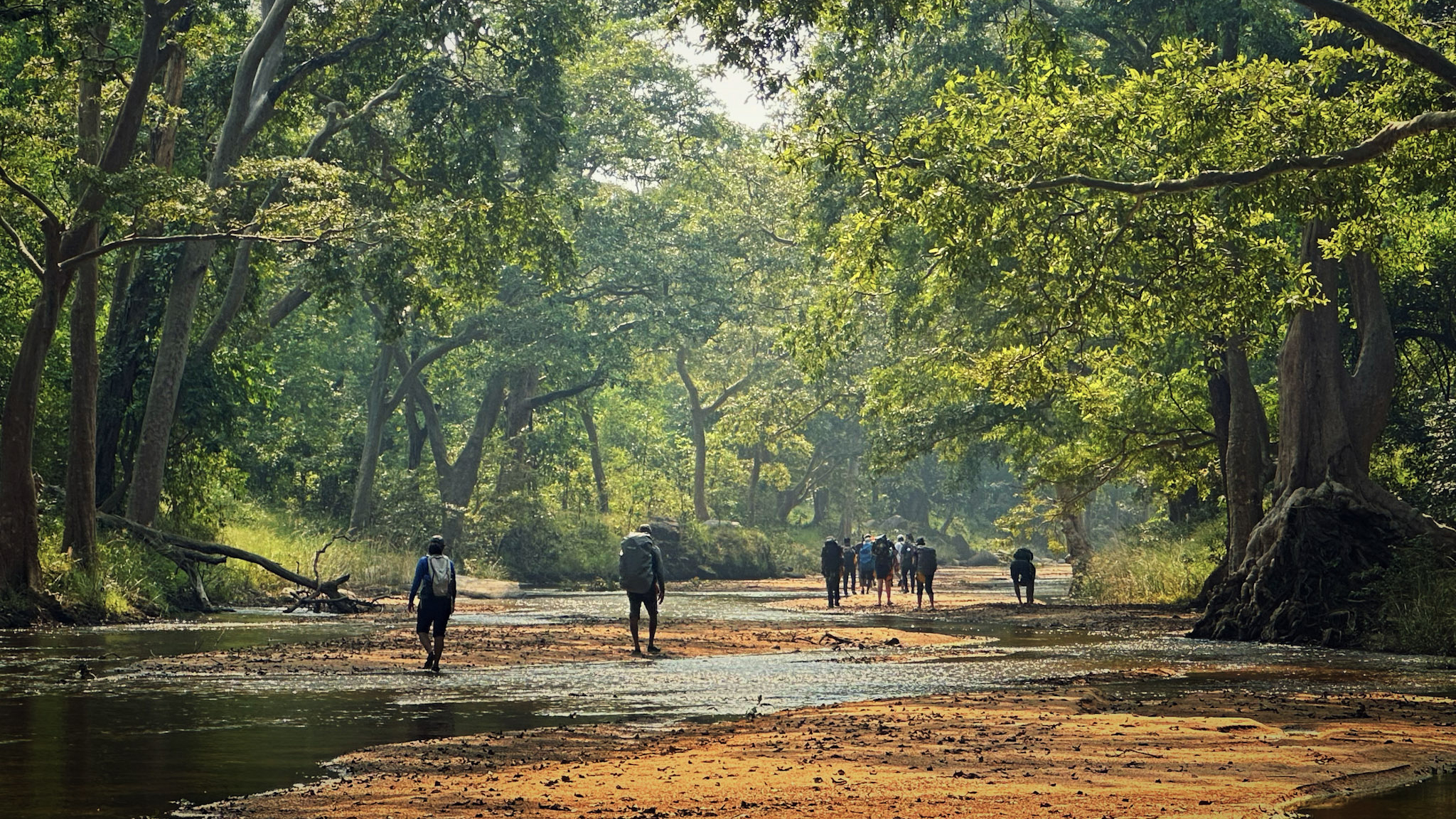 Pench Tiger Trail 2026 | Madhya Pradesh’s Treasured Forest Trek