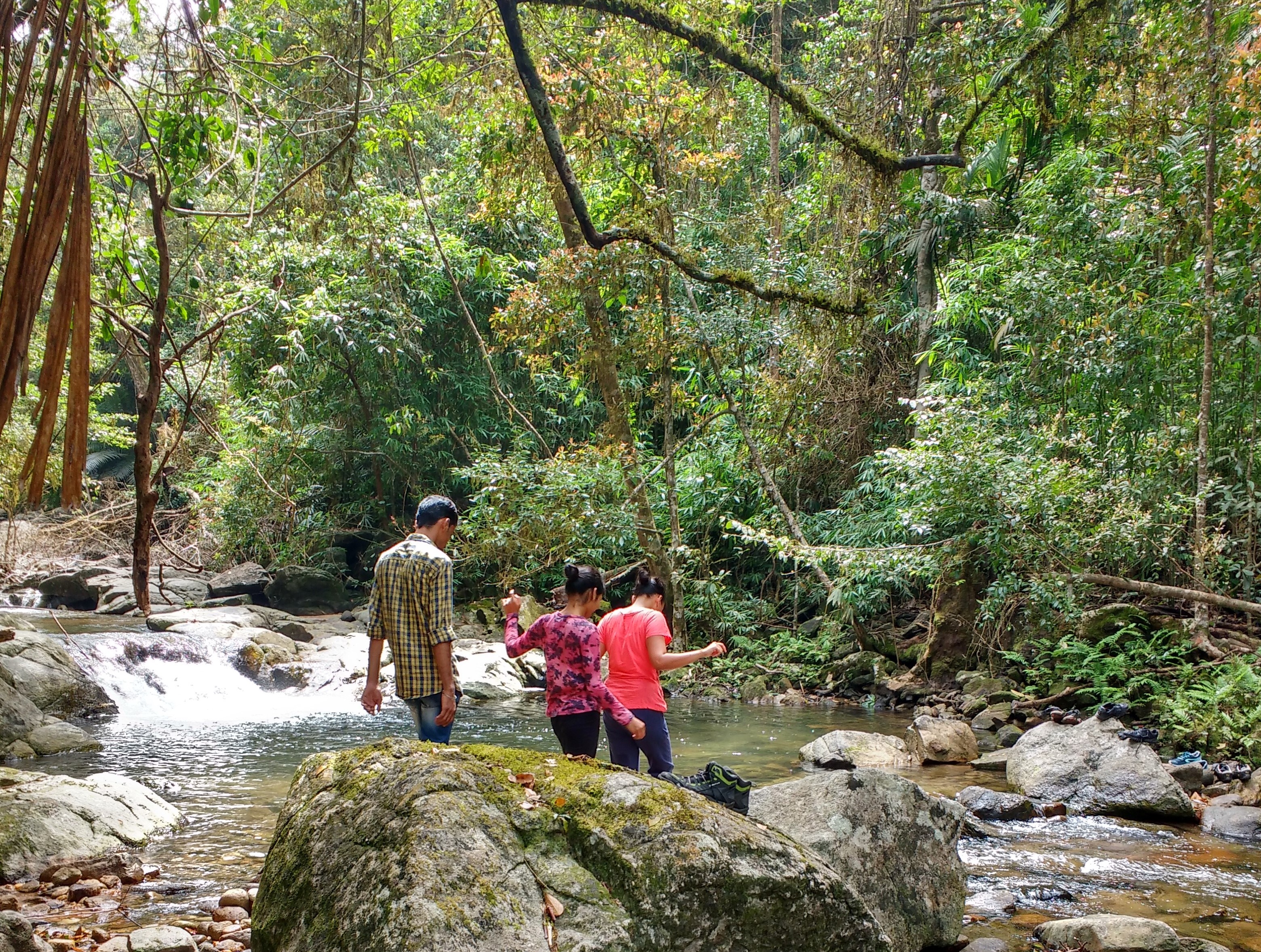 Narasimha Parvatha Trek - Trek to the highest peak in Agumbe