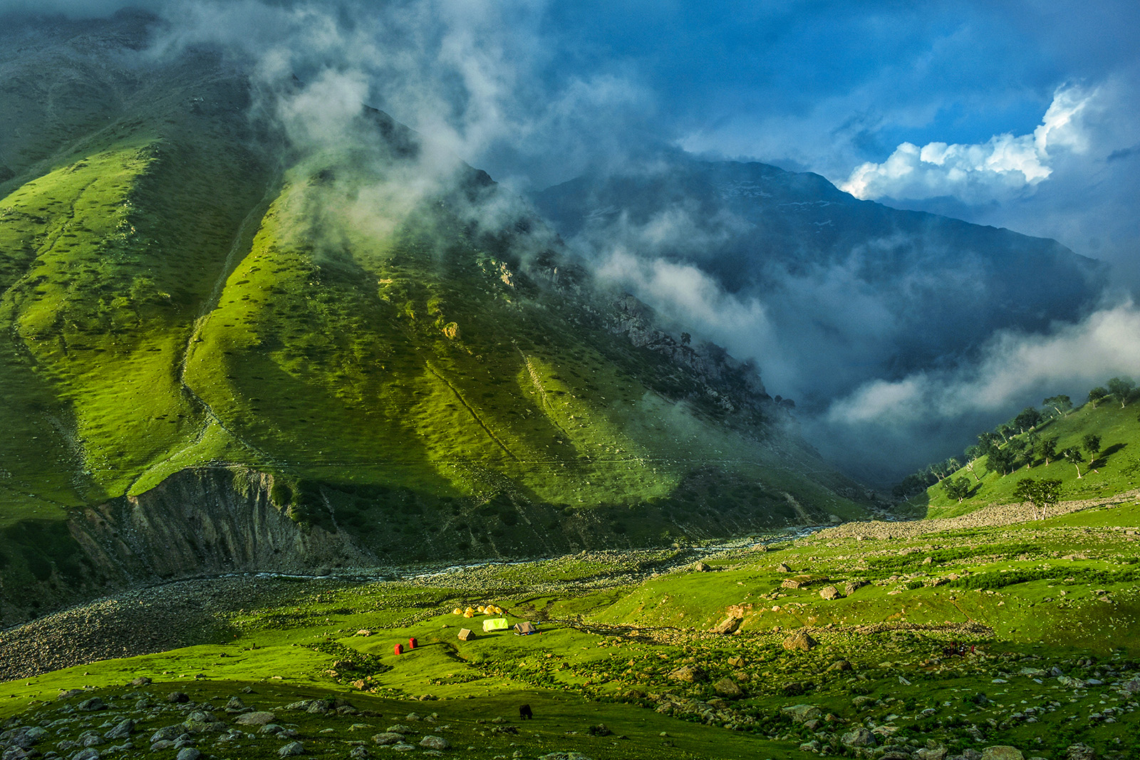 Tarsar Marsar Trek 2023 - Treks In Jammu and Kashmir - Indiahikes