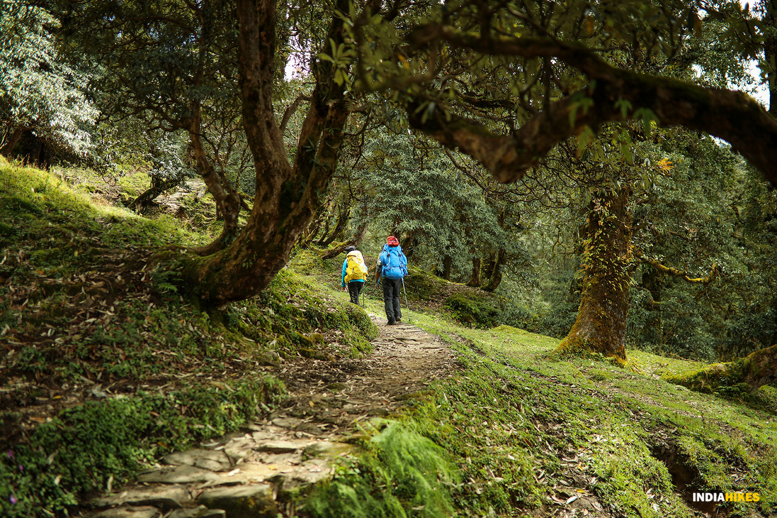 3 Unconventional treks for first-time trekkers