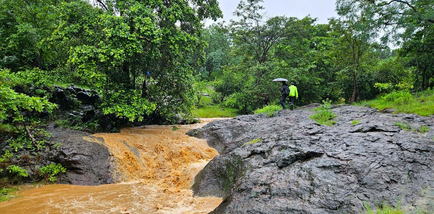 Chincholi Forest Trek
