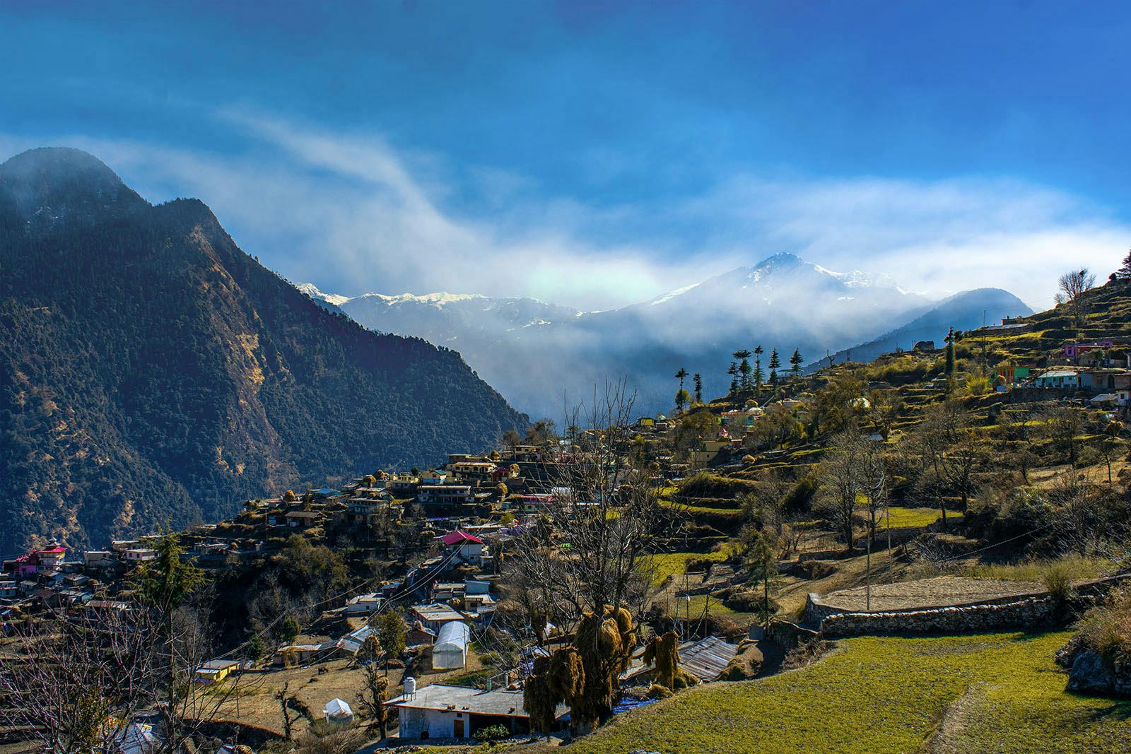 Dayara Bugyal Trek 2023 - The Most Beautifully Landscaped Meadow in our ...