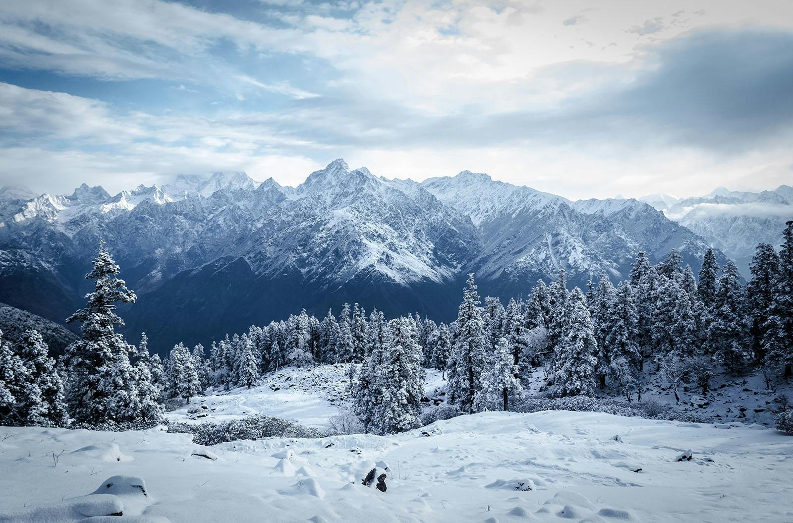 Kuari Pass Trek 2022 - Treks In Uttarakhand - Indiahikes