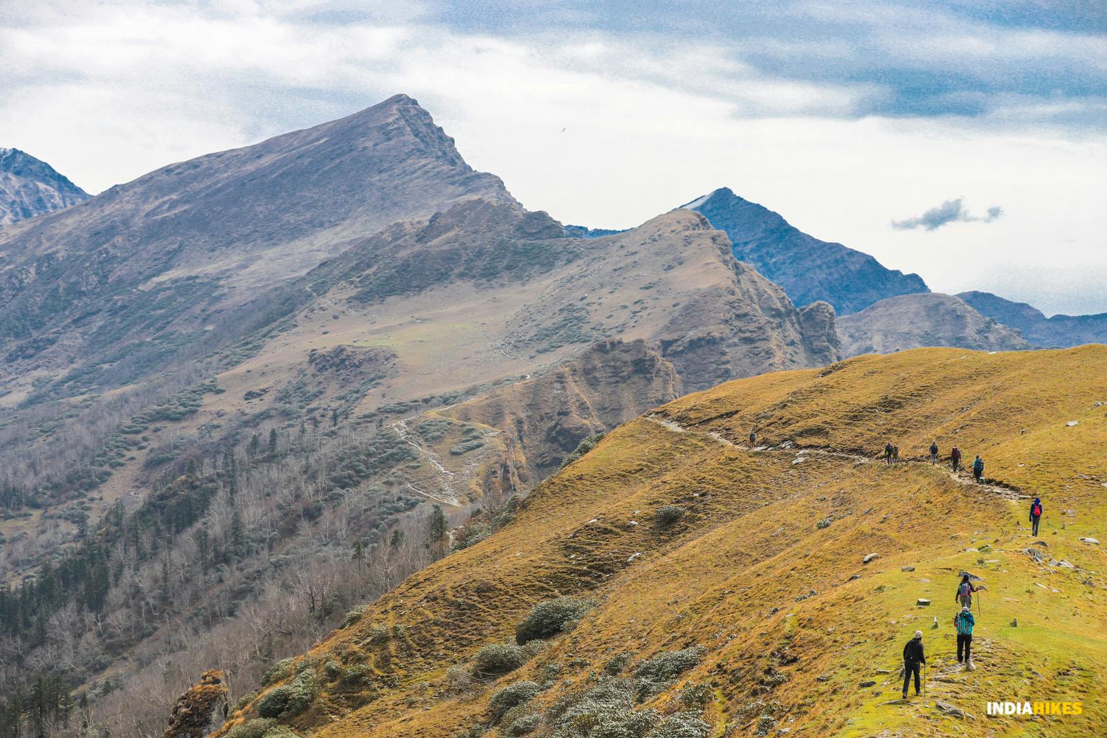 Phulara Ridge Trek 2023 - Trekking in Uttarakhand - Indiahikes
