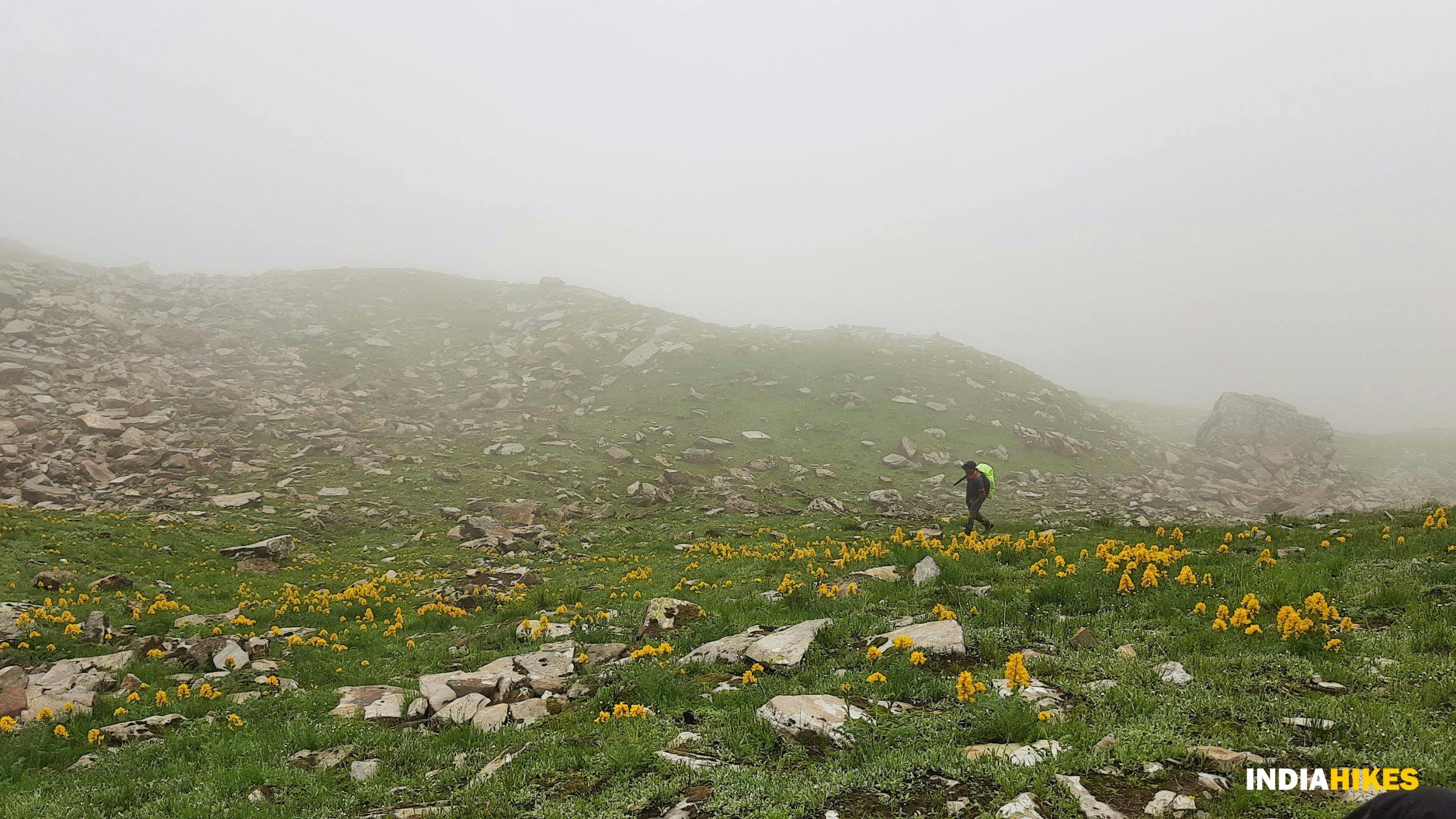 Bhrigu Lake Trek 2023 - Treks In Himachal Pradesh - Indiahikes