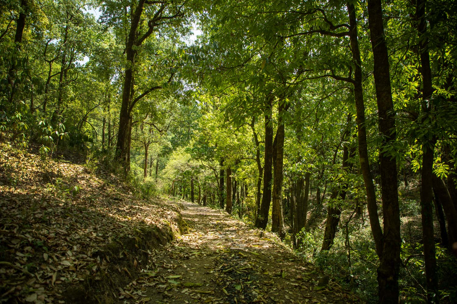 Indiahikes - India's Safest and Largest Trekking Organisation