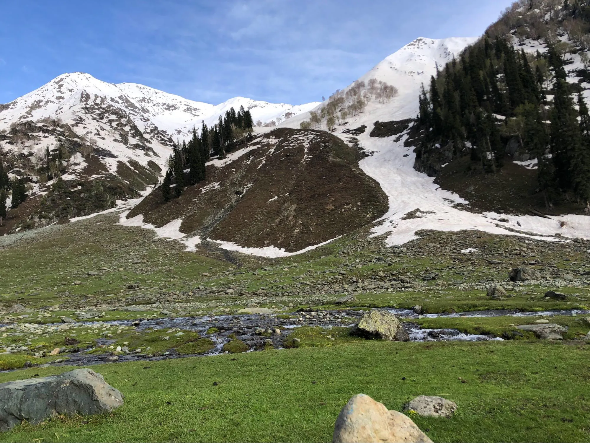 Tulian Lake Trek 2023 - Treks In Jammu and Kashmir - Indiahikes
