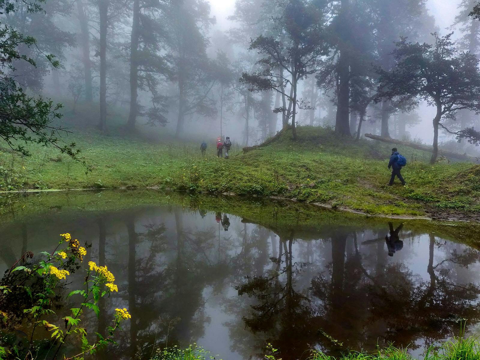 Gidara Bugyal Trek 2023 - Treks In Uttarakhand - Indiahikes