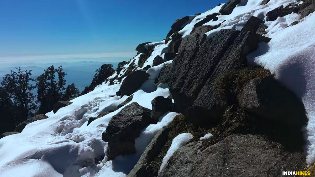 Triund Trek