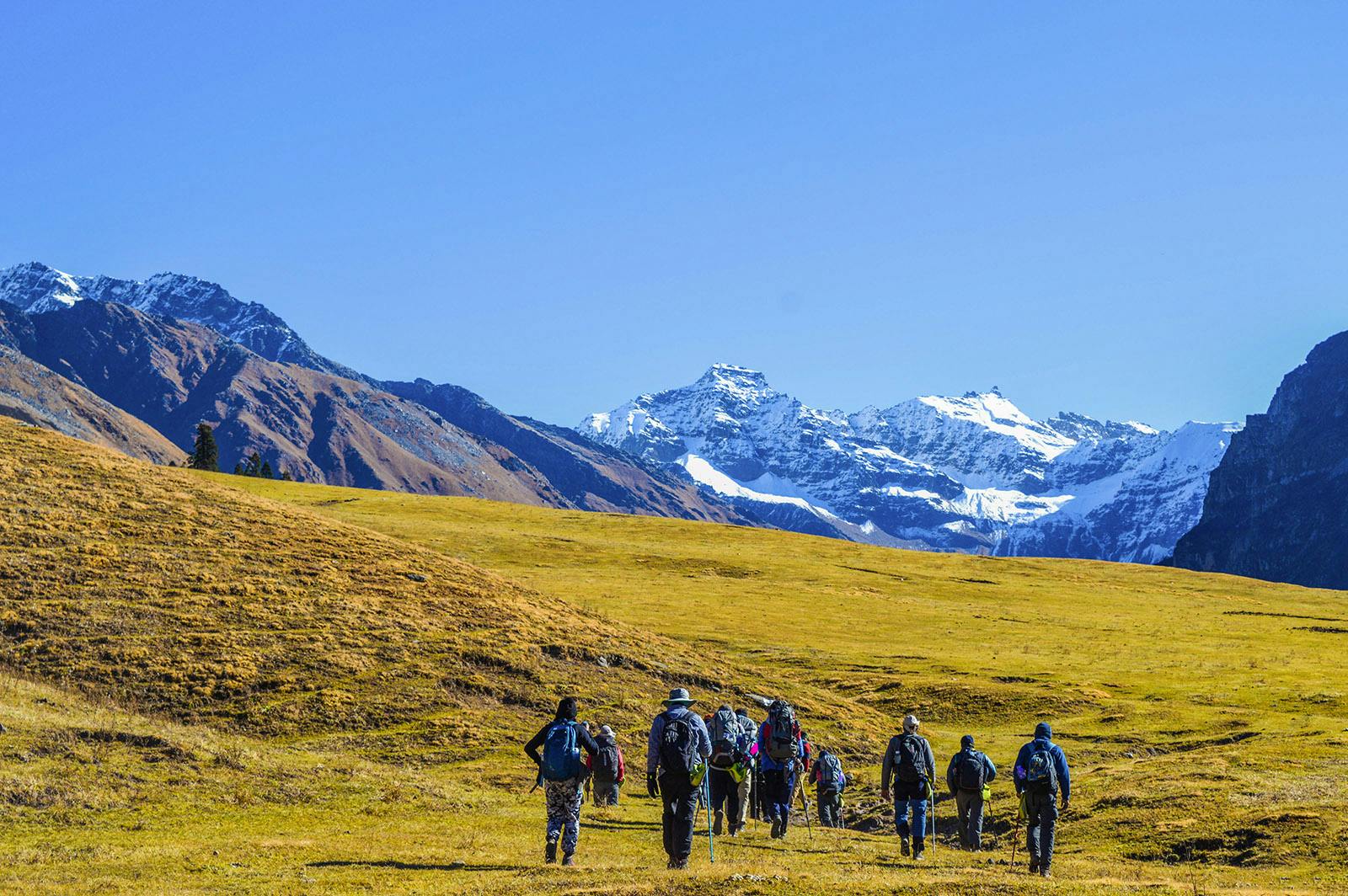 Buran Ghati Trek 2022 Treks In Himachal Pradesh Indiahikes