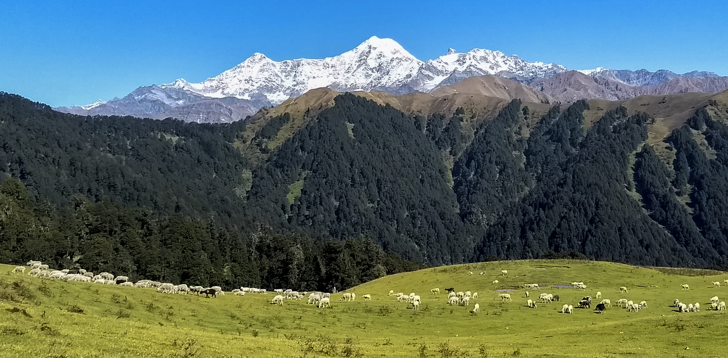 Dayara Bugyal - The Most Beautifully Landscaped Meadow in our Country