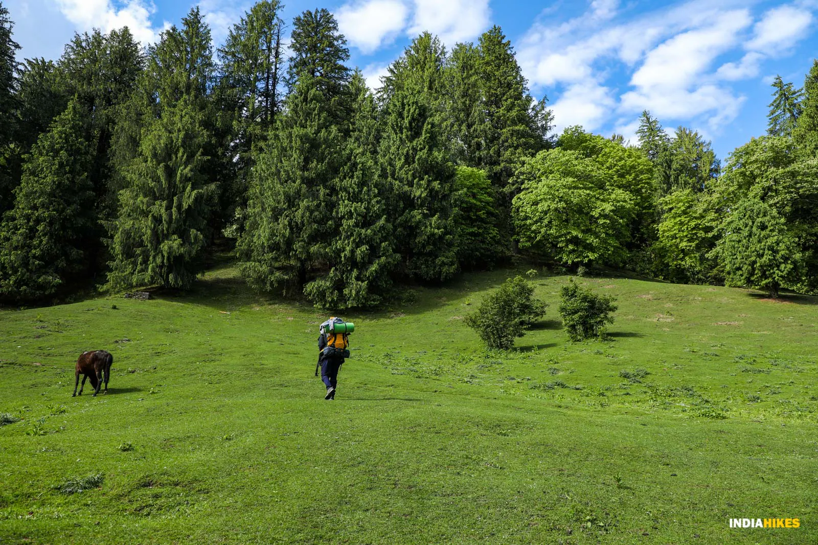 Chandrakhani Pass Trek 2023 - Treks In Himachal Pradesh - Indiahikes
