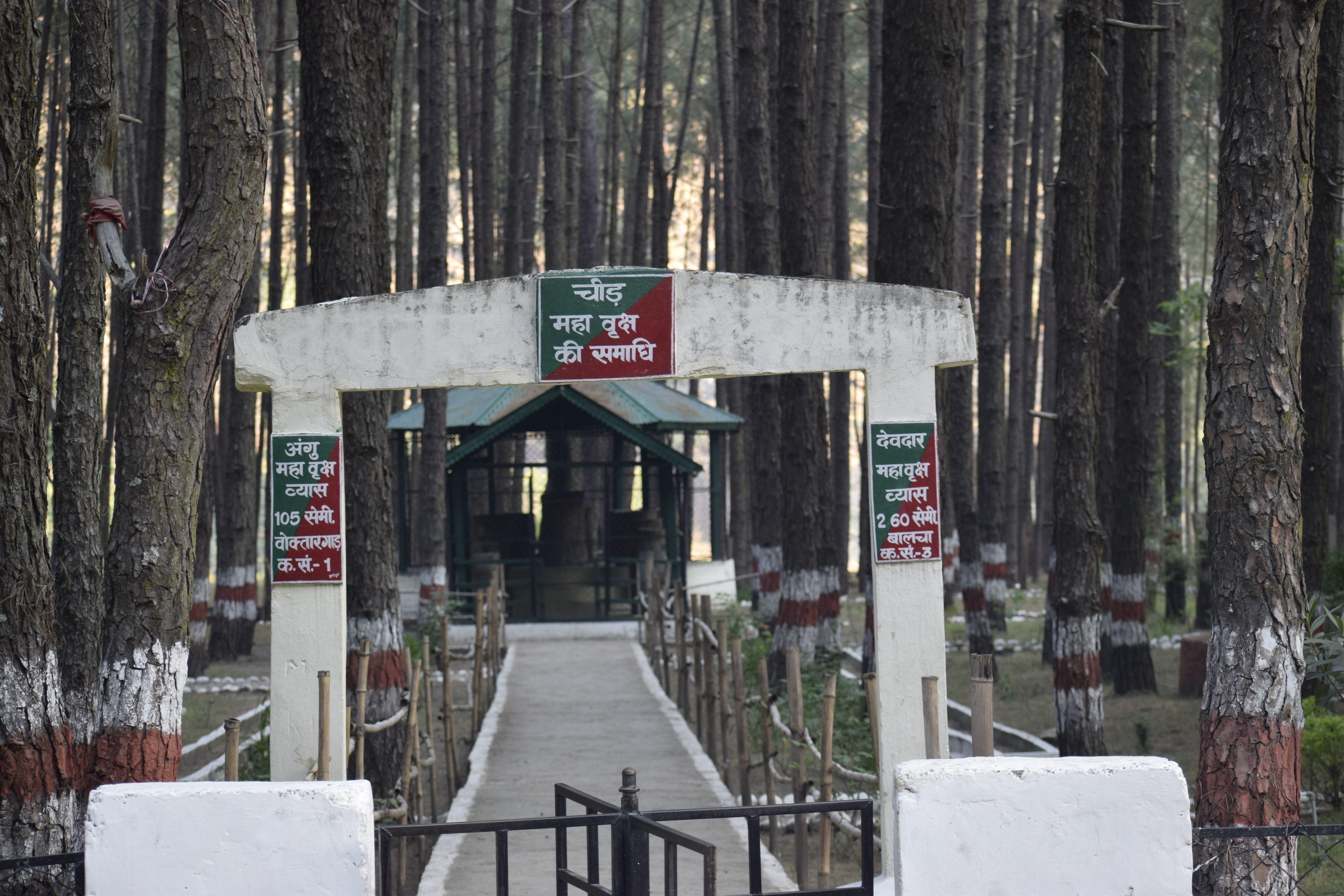 Hanol Trek - A trek to experience the culture of Uttarakhand