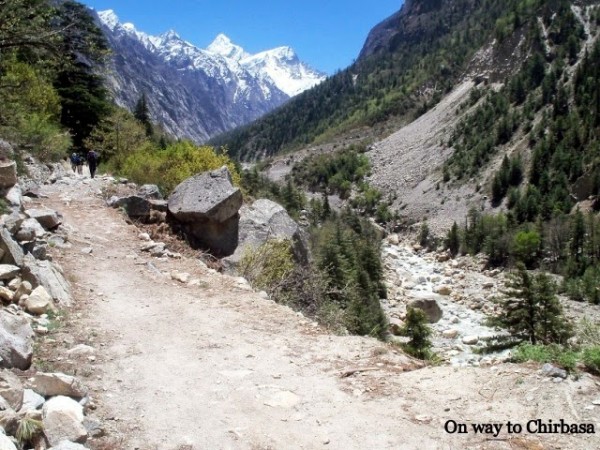 Tapovan Nandanvan Trek