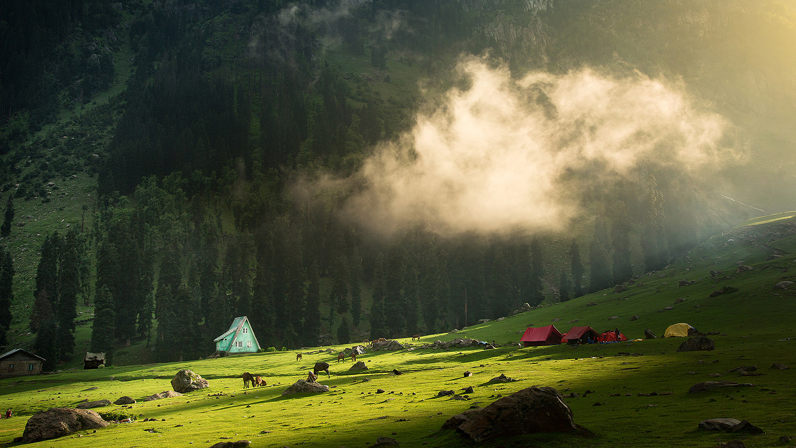 Tarsar Marsar Trek 2023 - Treks In Jammu and Kashmir - Indiahikes