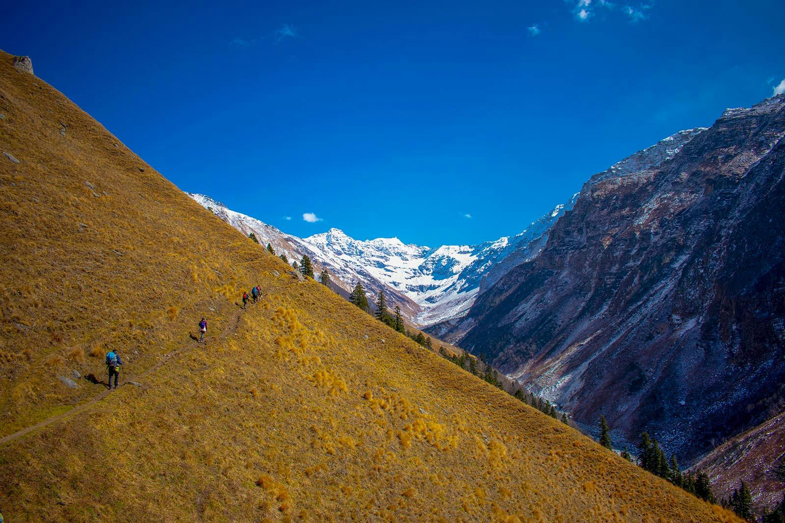 Buran Ghati Trek 2023 - Treks In Himachal Pradesh - Indiahikes