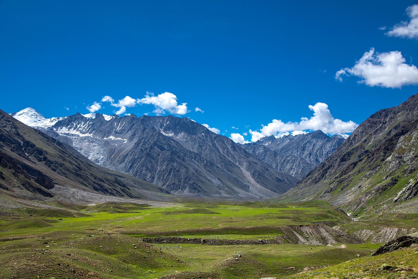 Miyar Valley 2023 - The Trek that takes you to the Heart of Lahaul ...