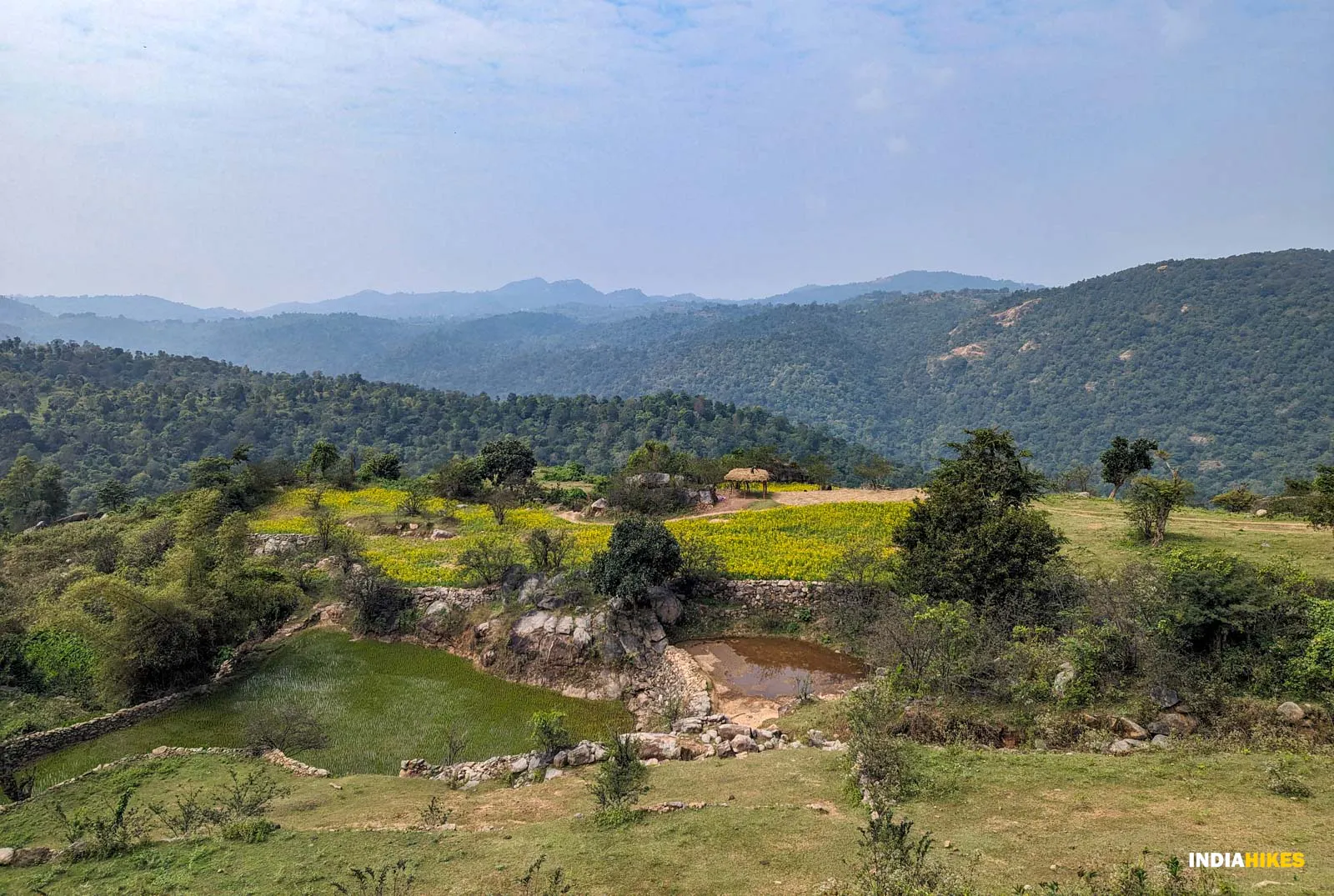 Vellore Amirthi Forest Trek 2024 - Treks In Tamil Nadu - Indiahikes