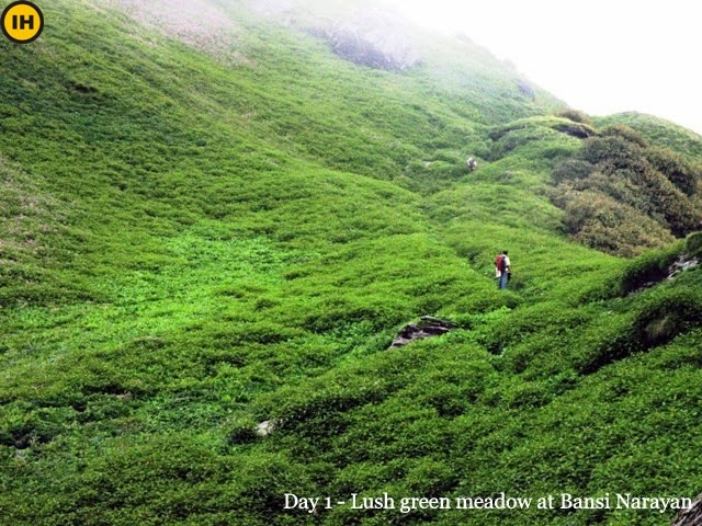 Kalpeshwar Rudranath Trek - A trek to the two of Panch Kedar temples