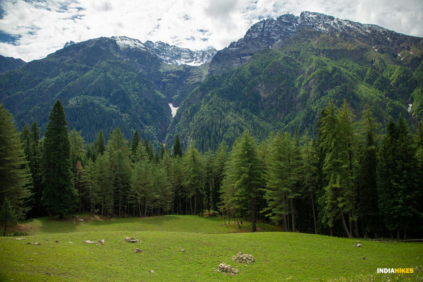 Buran Ghati Trek 2023 - Treks In Himachal Pradesh - Indiahikes