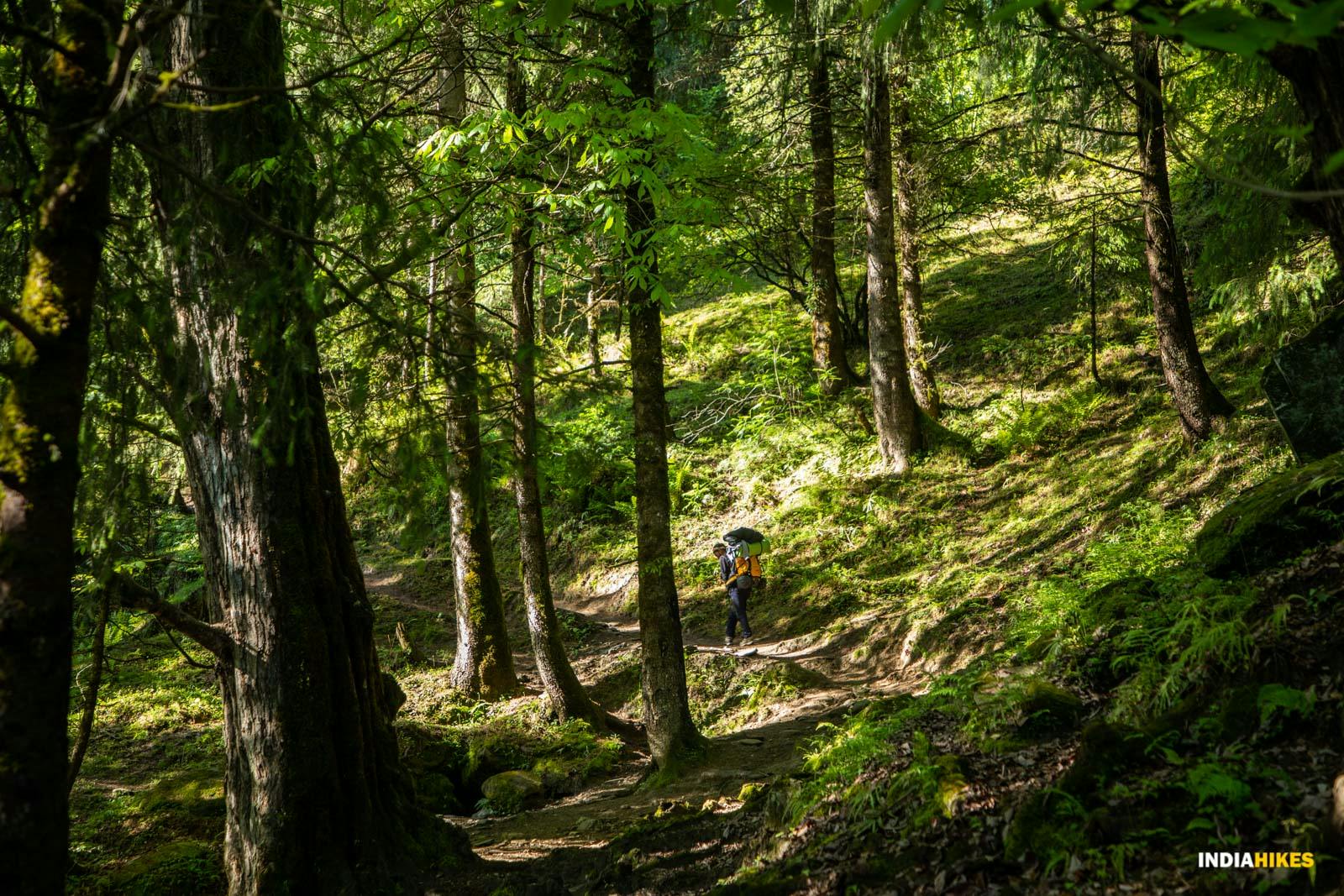 Chandrakhani Pass Trek 2023 - Treks In Himachal Pradesh - Indiahikes
