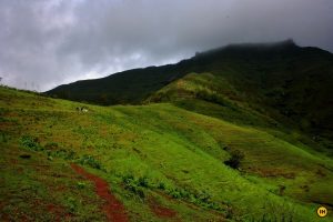 Rohida (Vichitragad) Trek