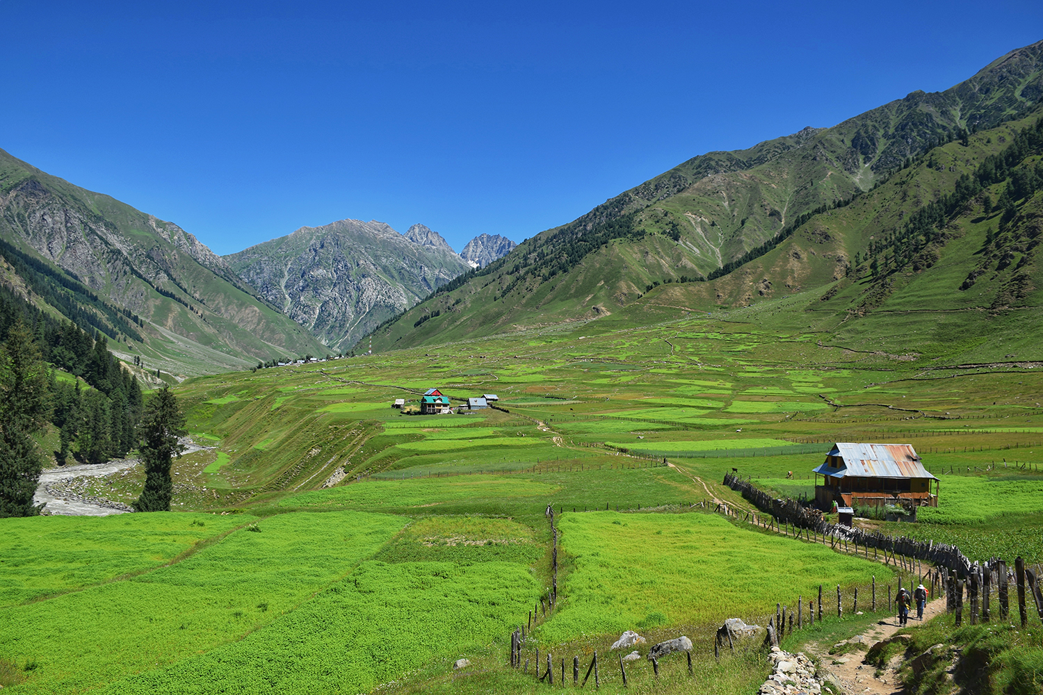 35 Of The Most Spectacular Photos From The Warwan Valley Expedition