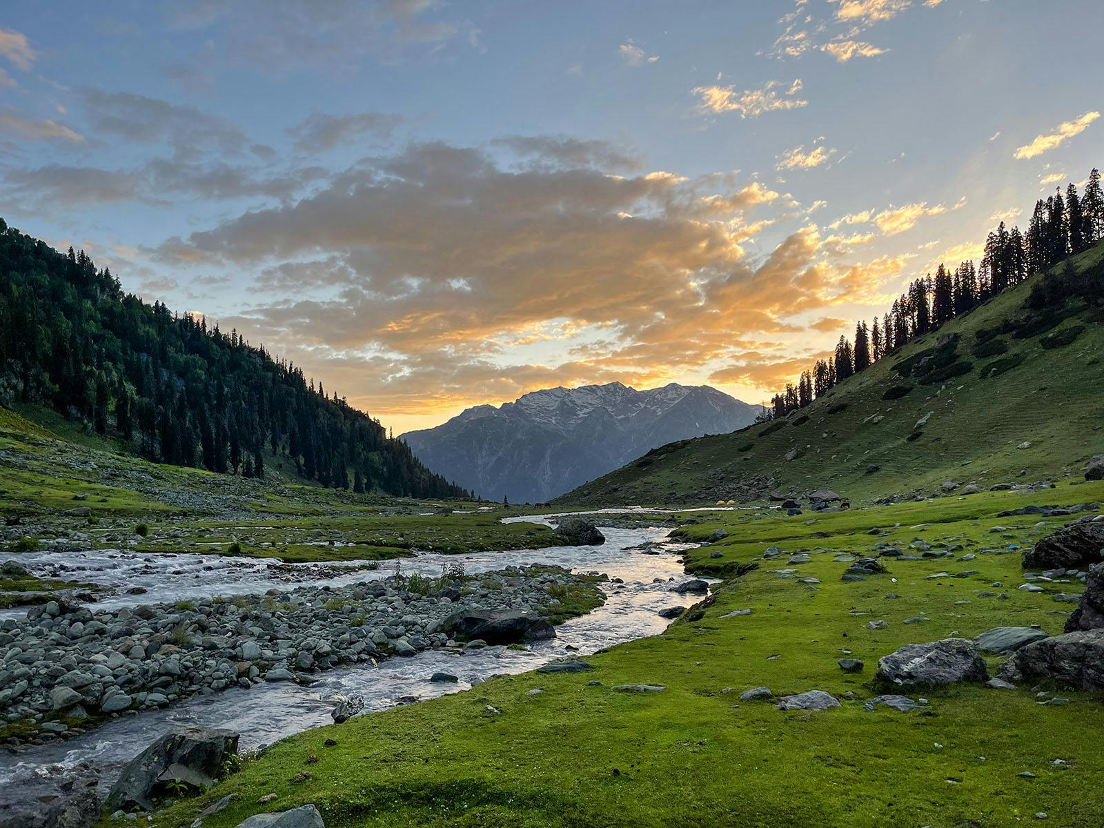 Tulian Lake Trek 2023 - Treks In Jammu and Kashmir - Indiahikes