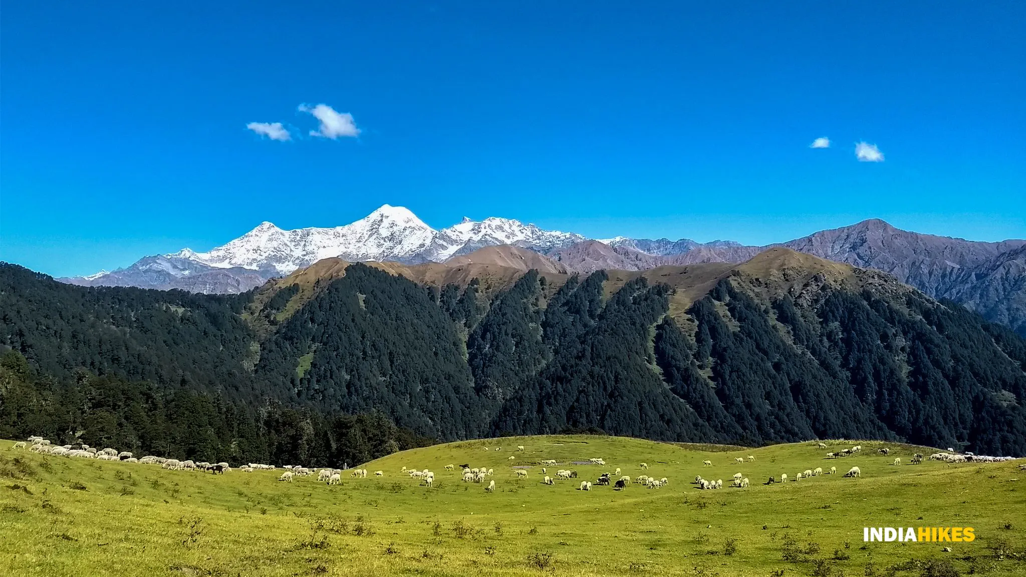 Indiahikes - India's Safest and Largest Trekking Organisation
