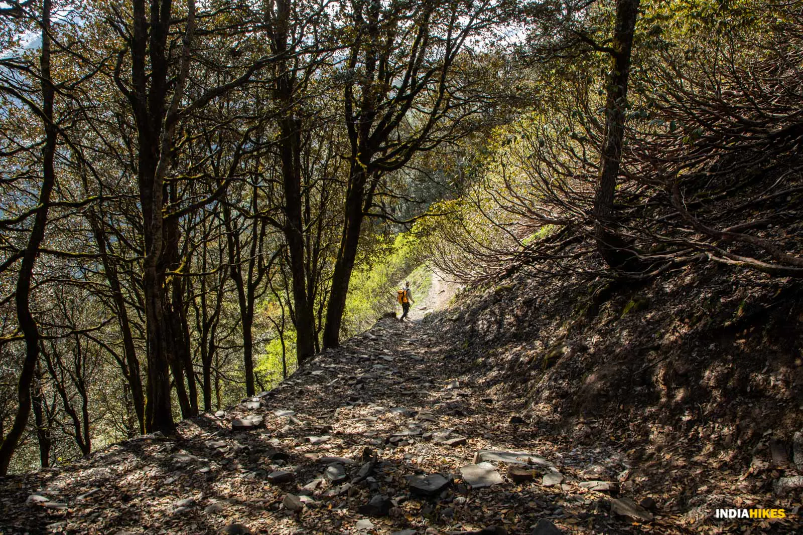 Chandrakhani Pass Trek 2023 - Treks In Himachal Pradesh - Indiahikes