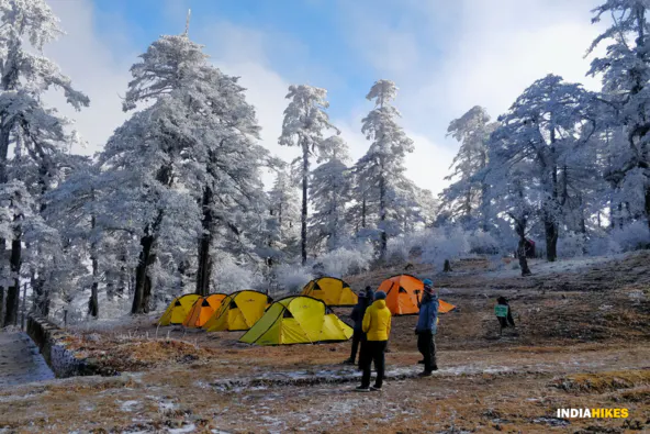 Sandakphu - Phalut Trek 2023 - Treks In West Bengal - Indiahikes