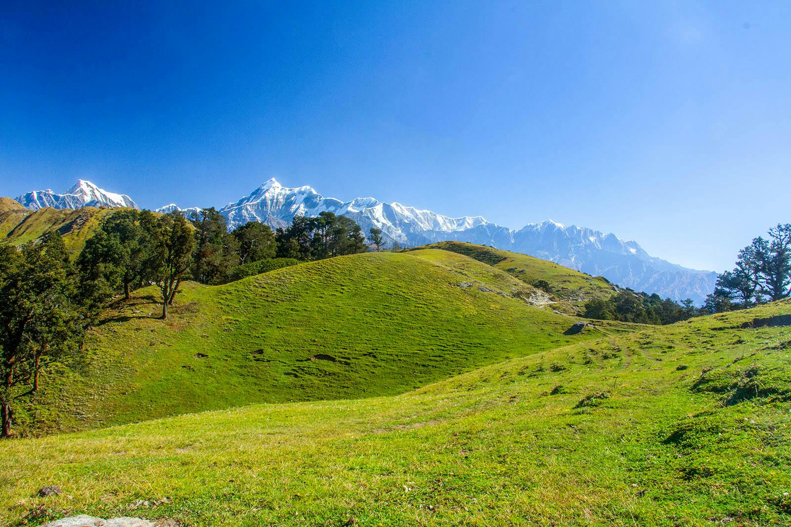 Brahmatal Trek 2022 - Treks In Uttarakhand - Snow Trek - Indiahikes